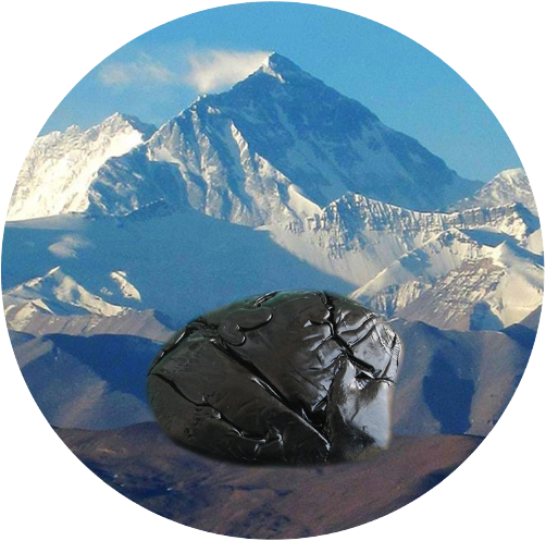 VibeMedX | Buy Pure Shilajit – Ayurvedic